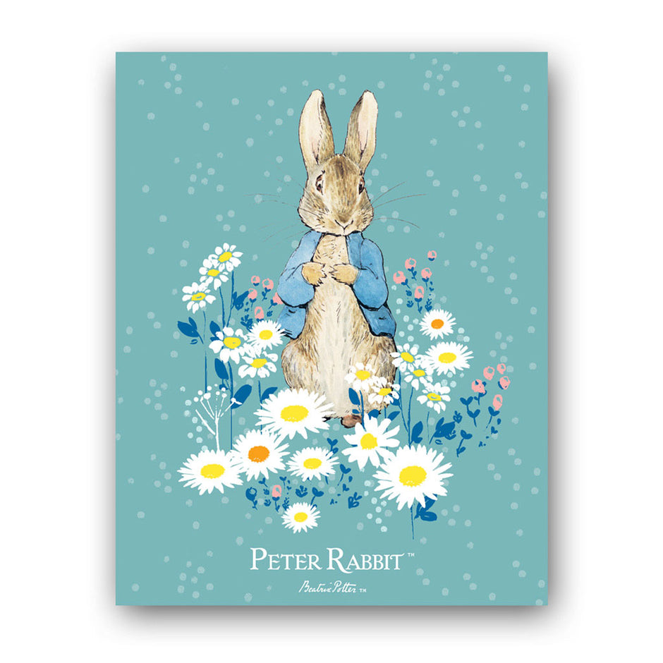 Nursery décor – Peter Rabbit Shop